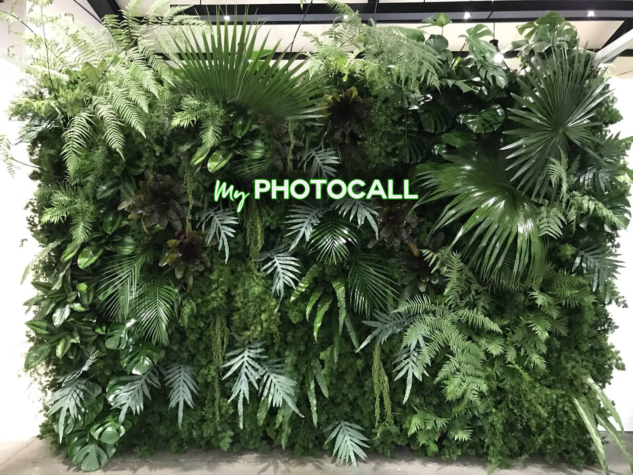 PHOTOCALL NEON – MyPHOTOCALL
